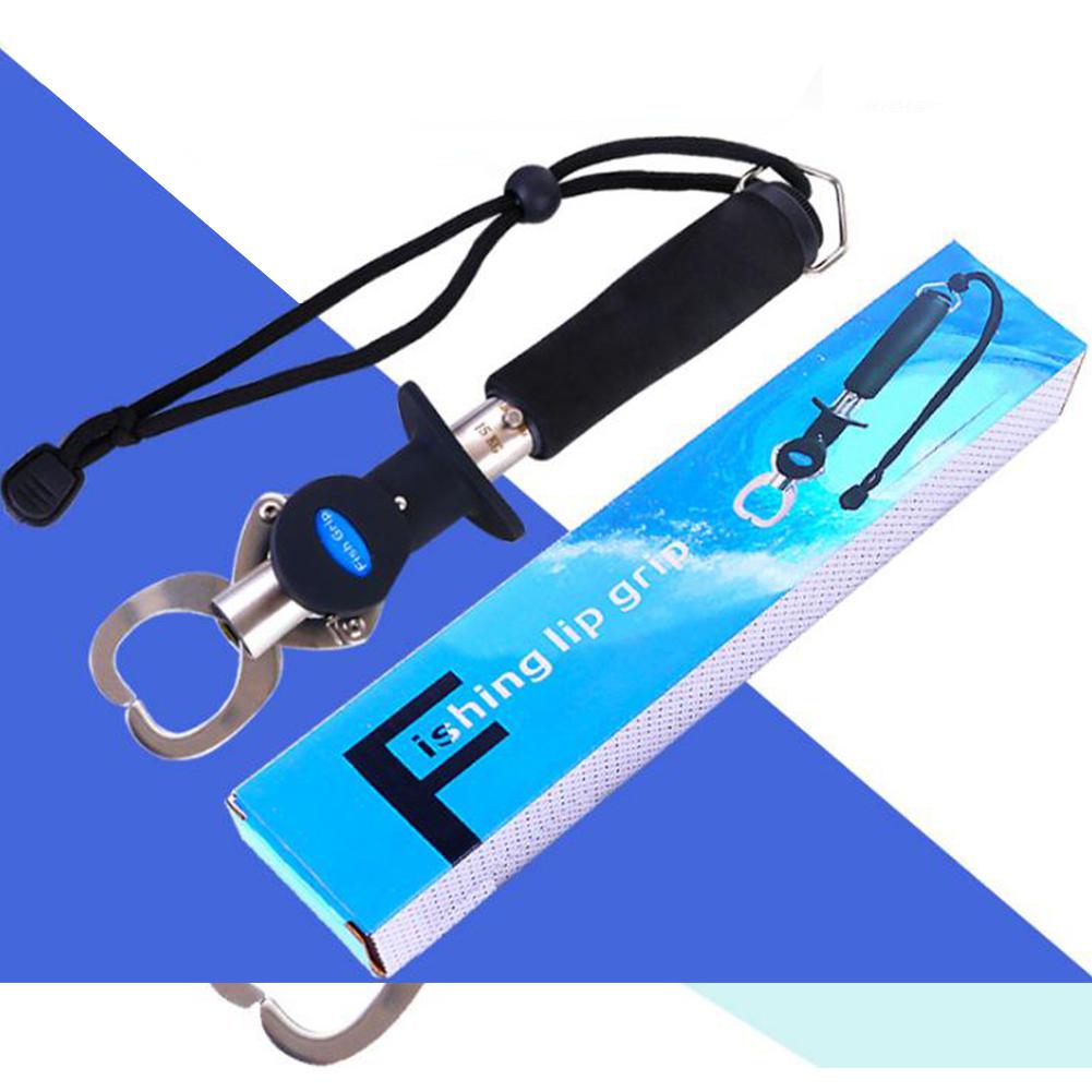 HobbyLane Multifunctional Fish Controling Tool Fis... – Vicedeal