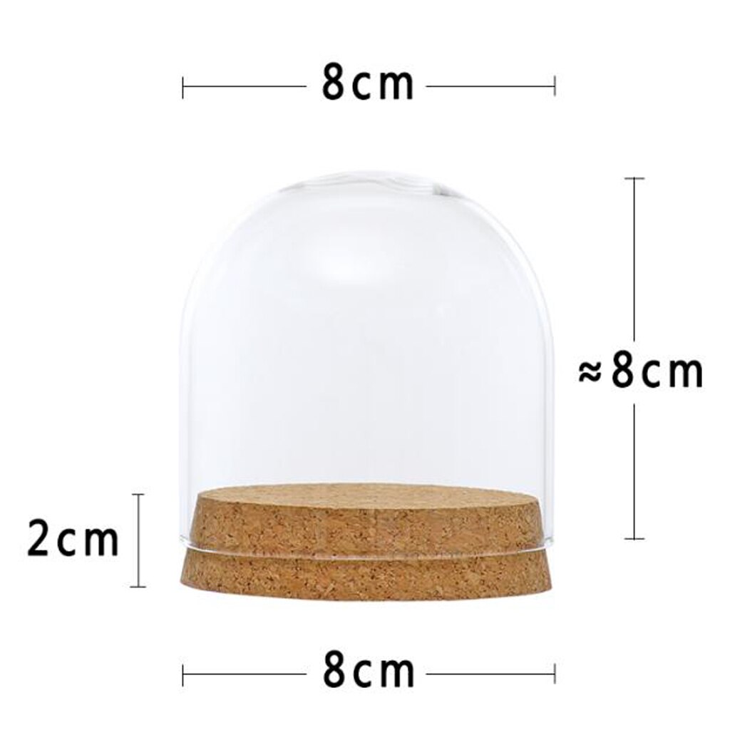 Clear Glass Display Dome Cover Cloche Bell Jar Suc... – Grandado