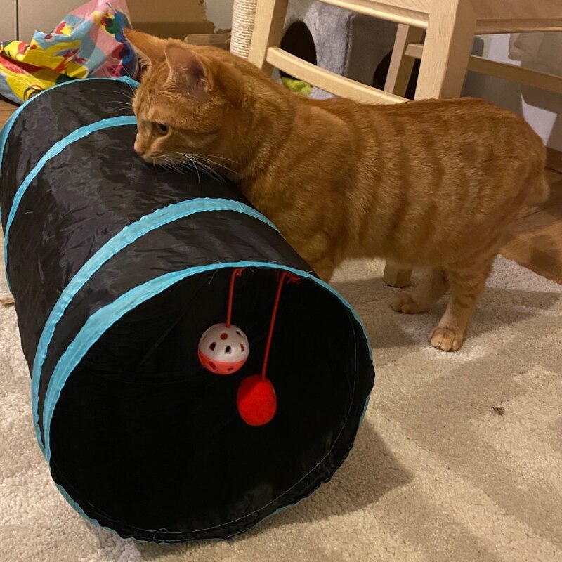 50 cm Nylon Collapsible Cat Tunnel Play Tubes Ball... – Vicedeal