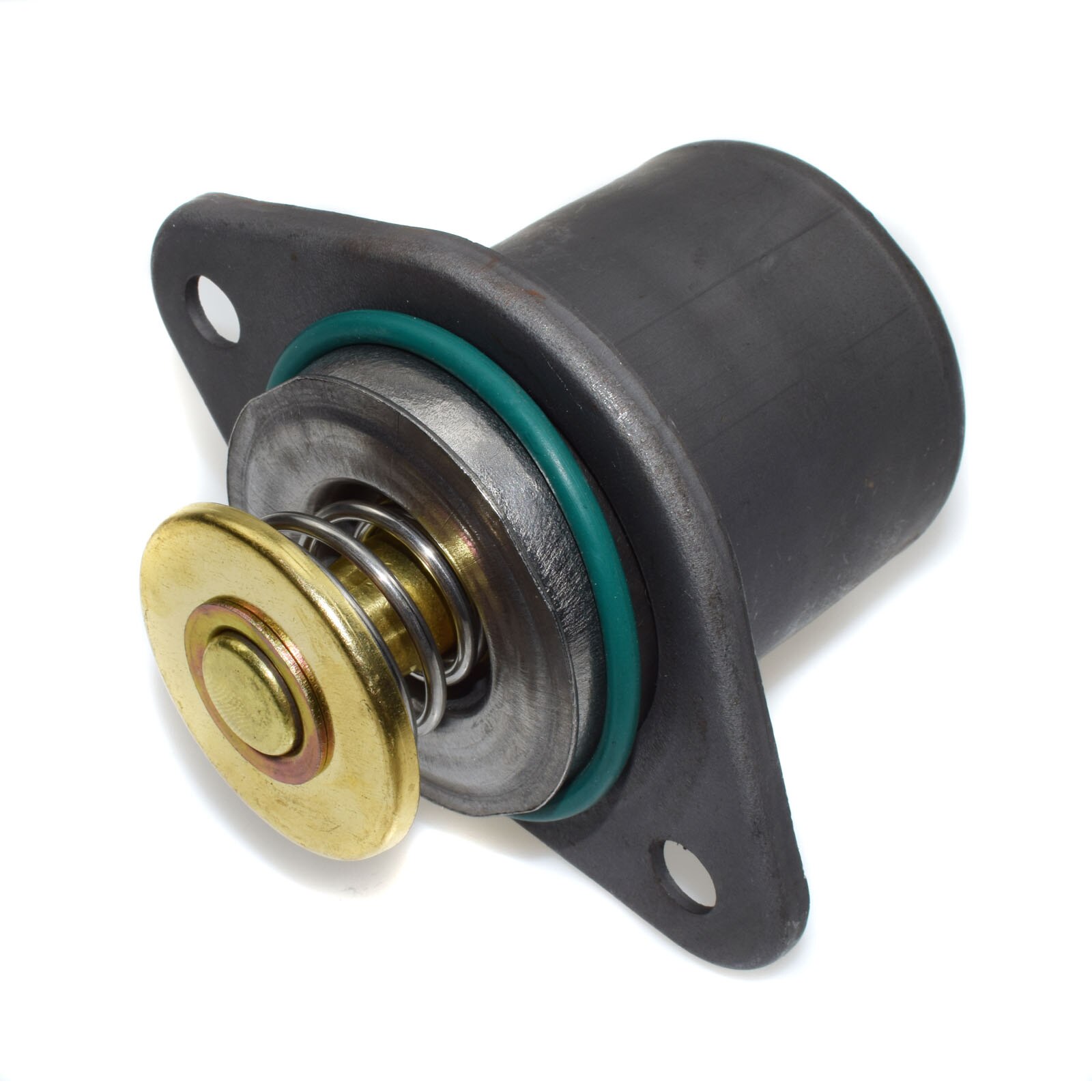 WOLFIGO Thermostat Kit For International DT466E DT... – Vicedeal