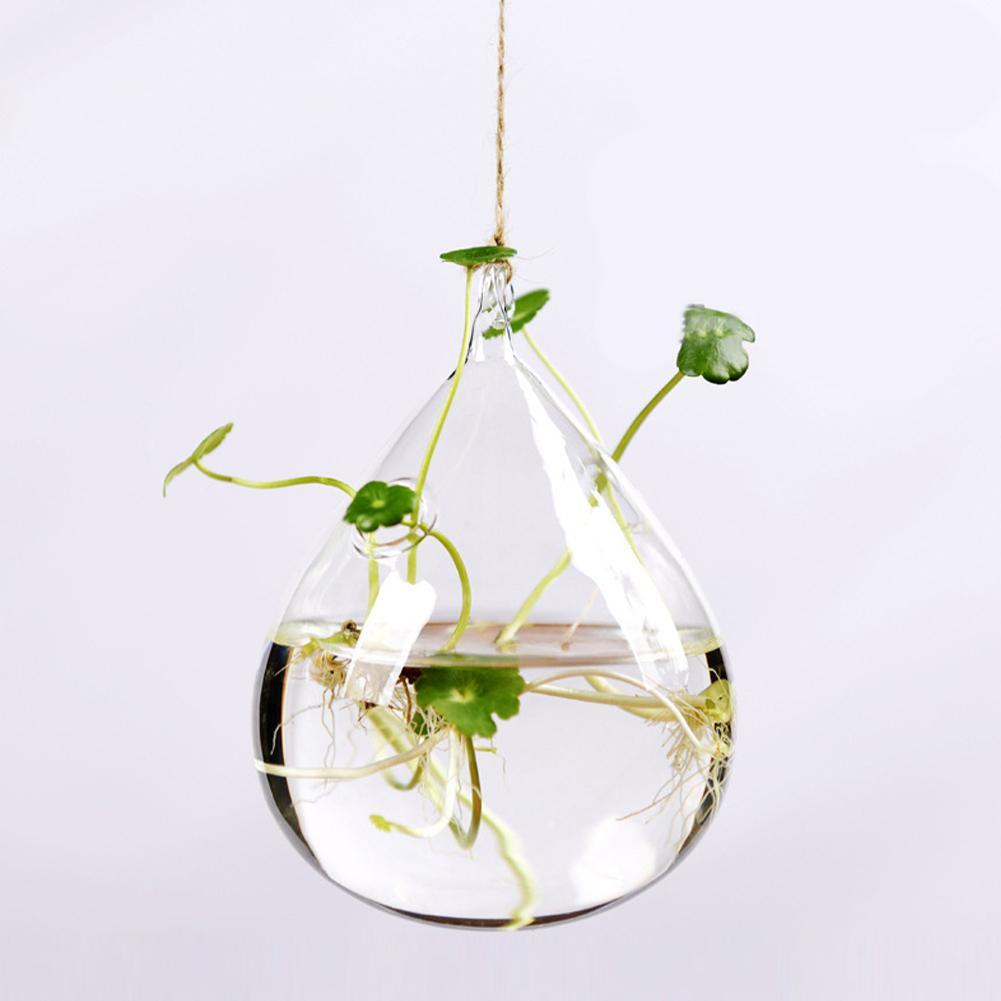 Plant Glass Hydroponic Container Small Hanging Bot... – Vicedeal