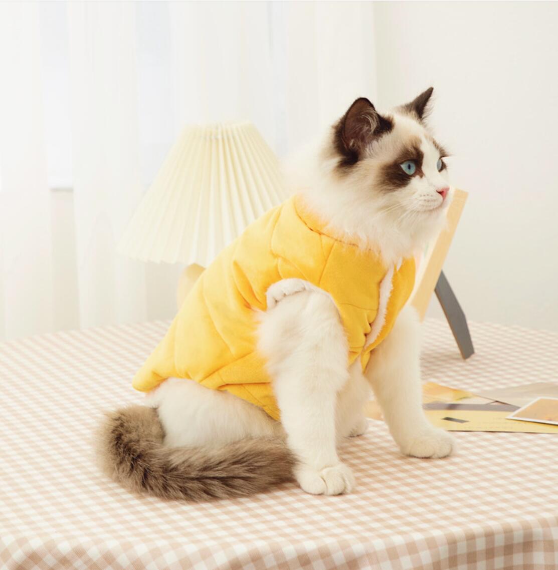 Ropa para gatos, chaleco para gatos pequeños, cami... – Grandado