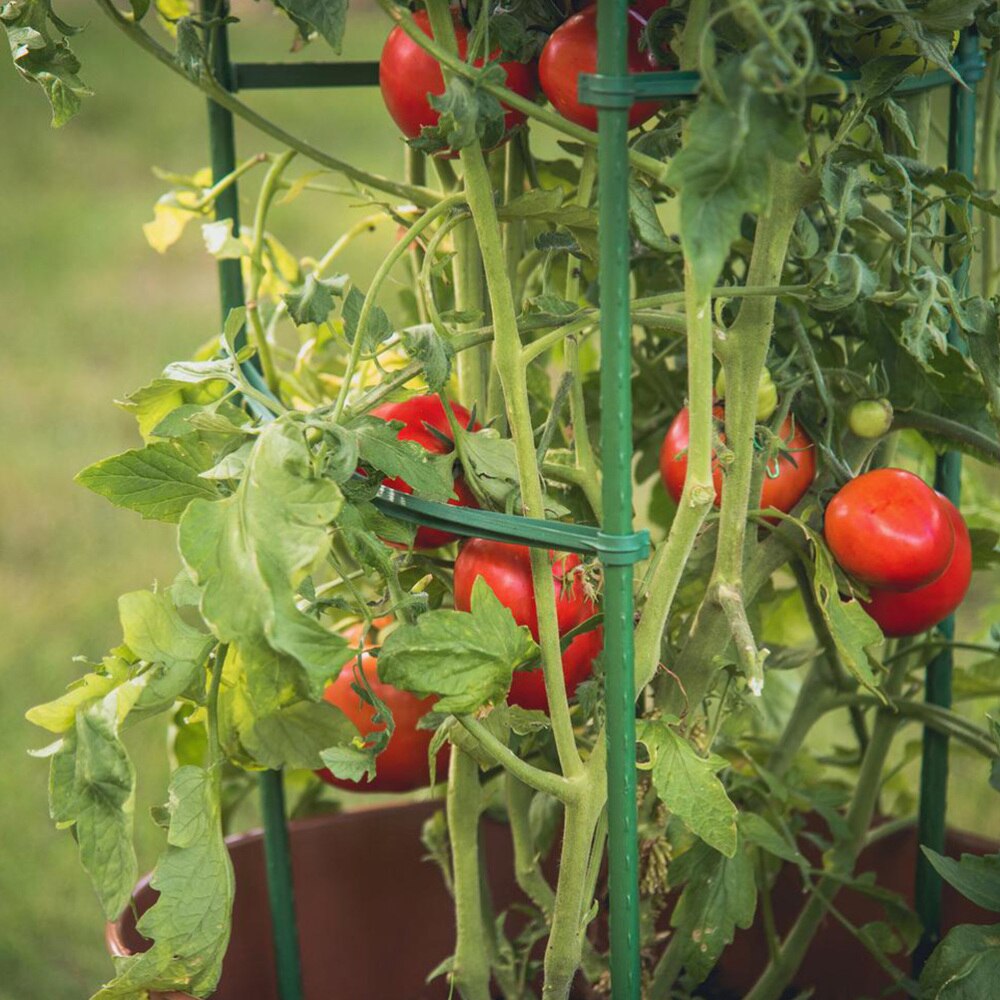12 Pcs Tomato Cages Deformable Plant Supports Toma... – Grandado
