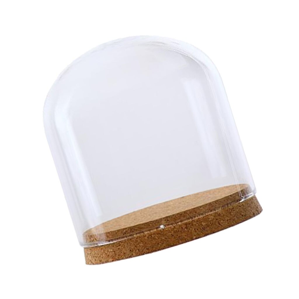 Dekorative Klarglas Cloche Glocke Glas Vitrine mit... – Grandado