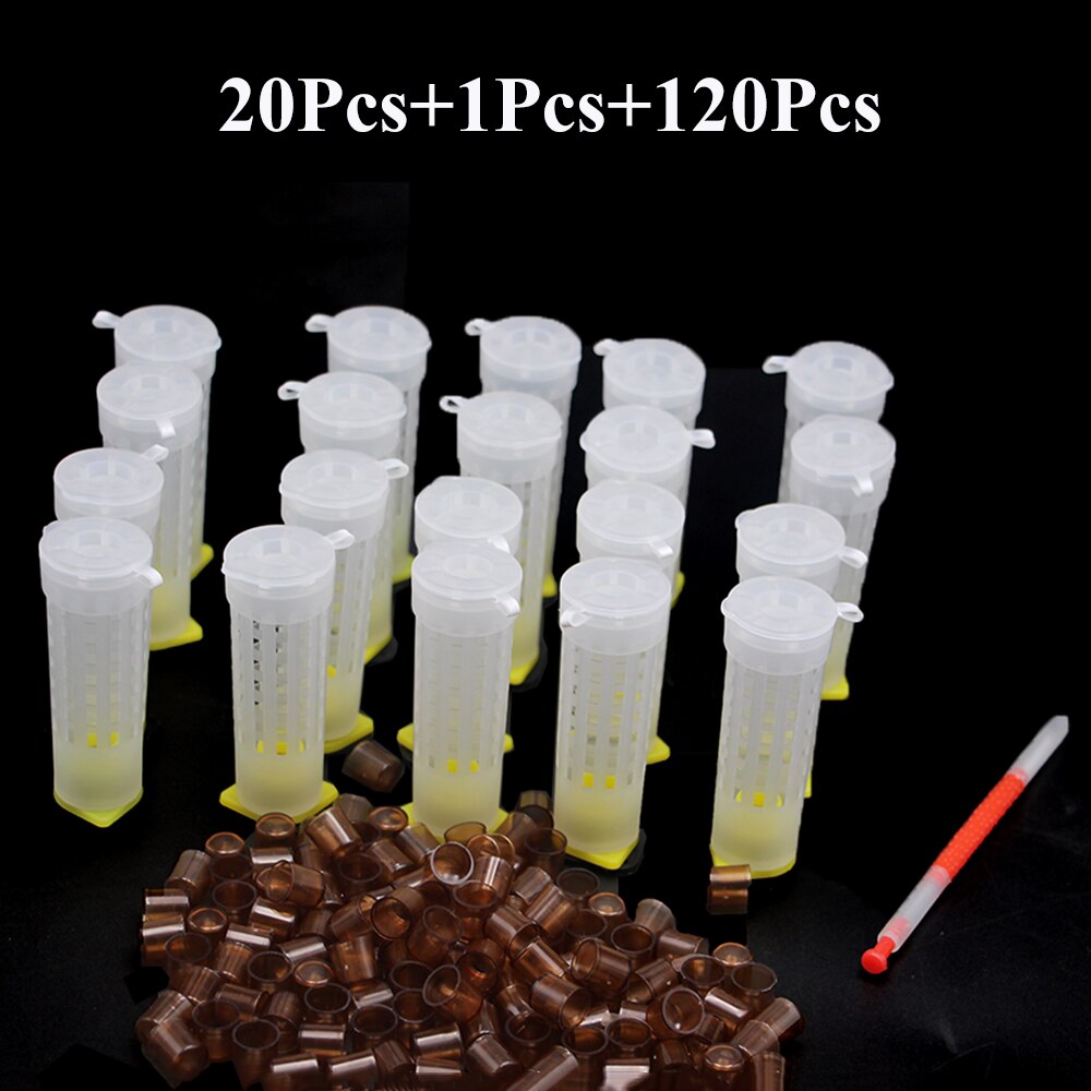 1 SET Beekeeping Queen Bee Rearing Apiculture Kit ... – Grandado