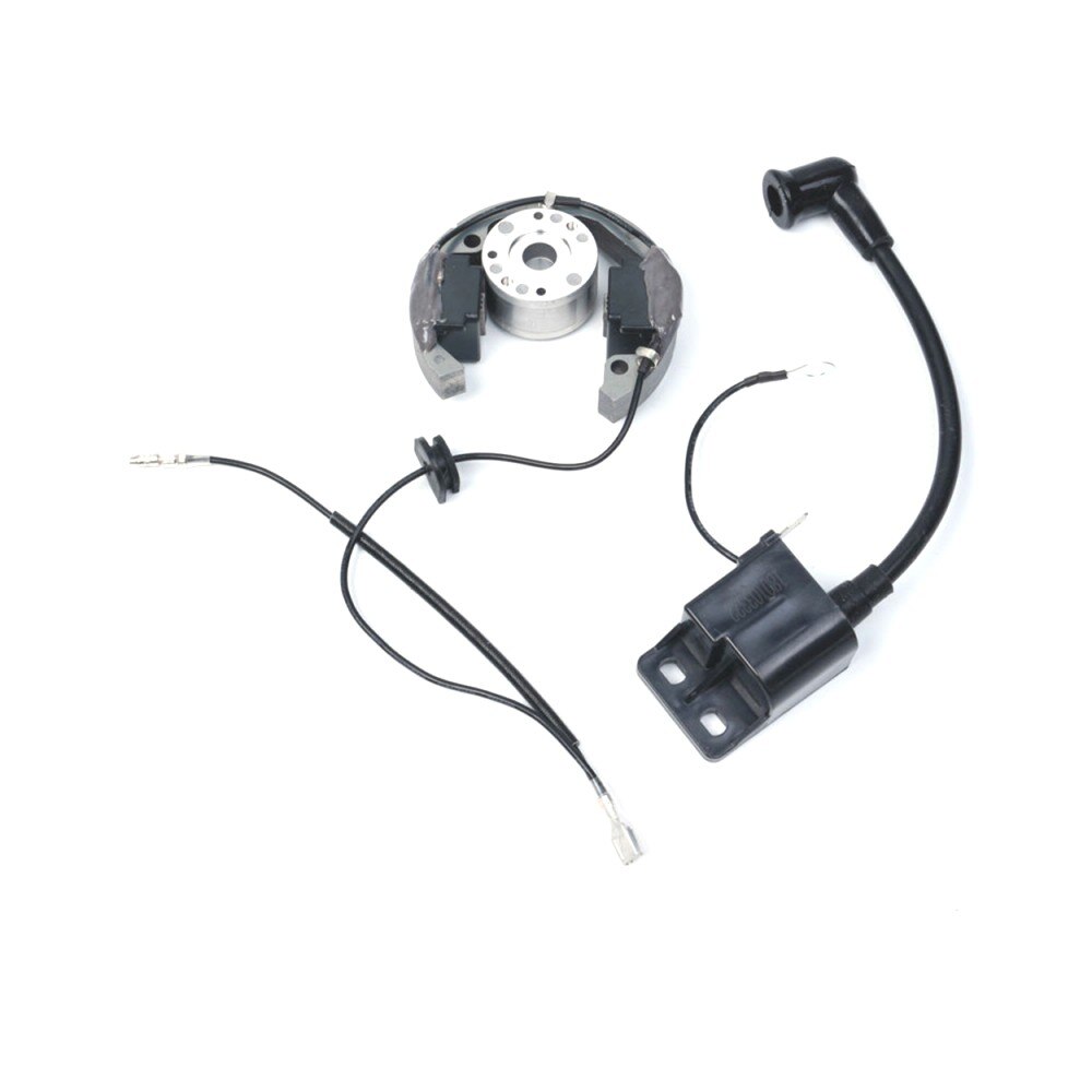 Ignition Coil Magnetic coil Stator Flywheel ROTOR ... – Vicedeal