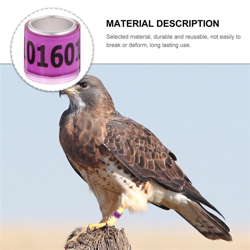 100Pcs Pigeon Foot Rings Numbered Pigeon Foot Ring... – Grandado