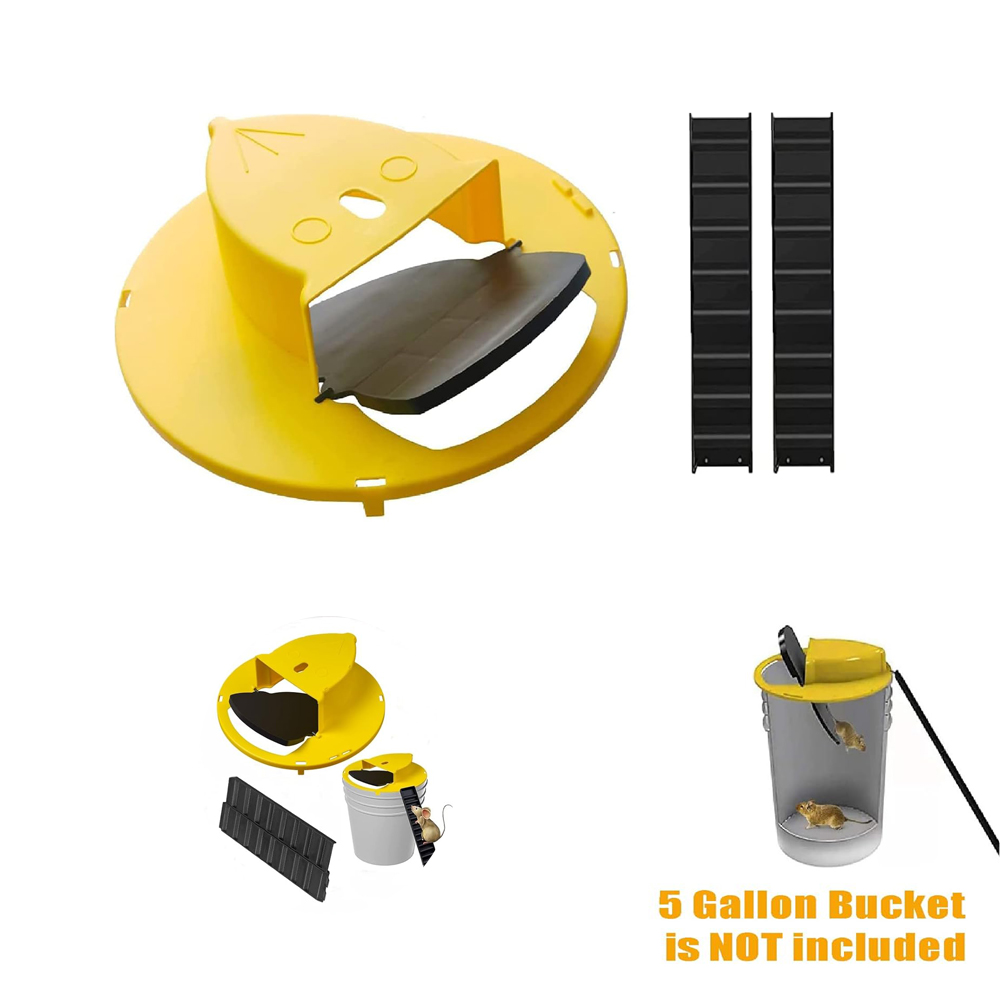 Muizenval Emmer Klapdeksel Auto Reset Multi Catch ... – Grandado