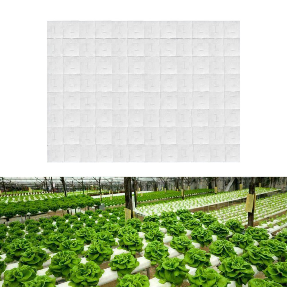 96pcs/set Growing Media Home Rooting Cubes Hydropo... – Grandado