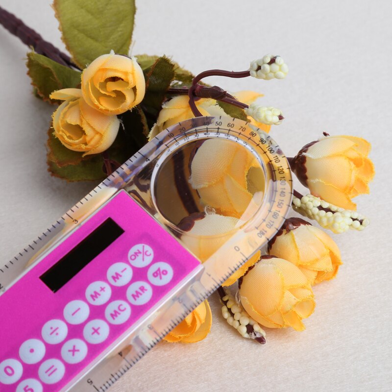 10cm Ruler Mini Digital Calculator 2 in 1 Kid Stat... – Grandado