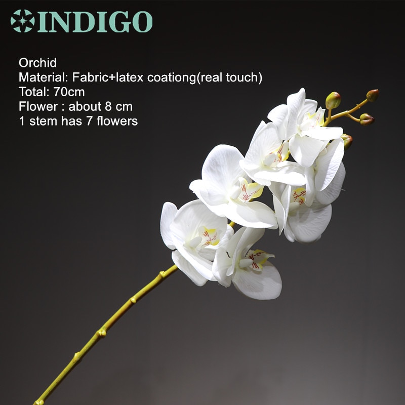 INDIGO - 3D Printing Petals Phalaenopsis White Orc... – Grandado