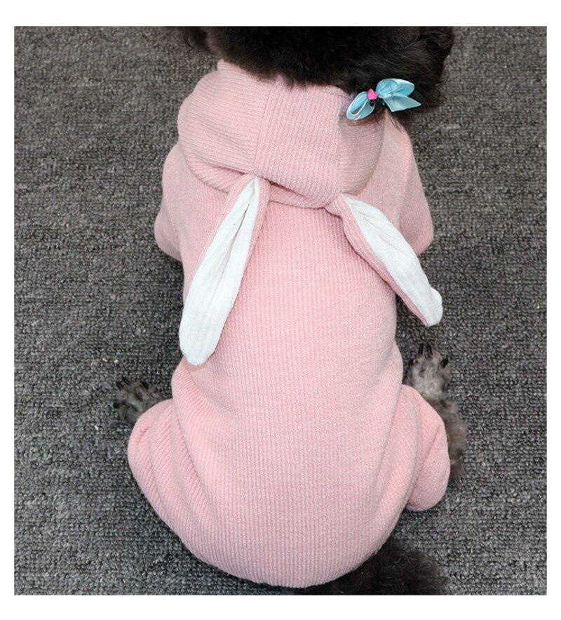 Cute Dog Winter Clothes Small Pet Outfit Jumpsuit ... – Grandado