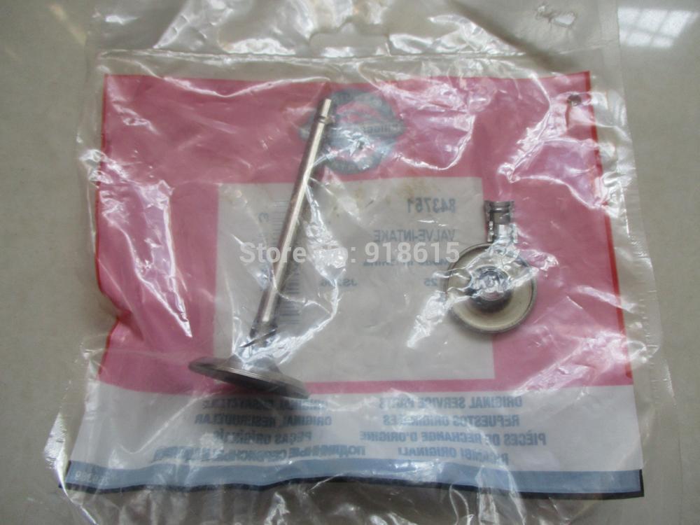 Intake Valve 21HP 20HP 18HP briggs and stratton en... – Grandado