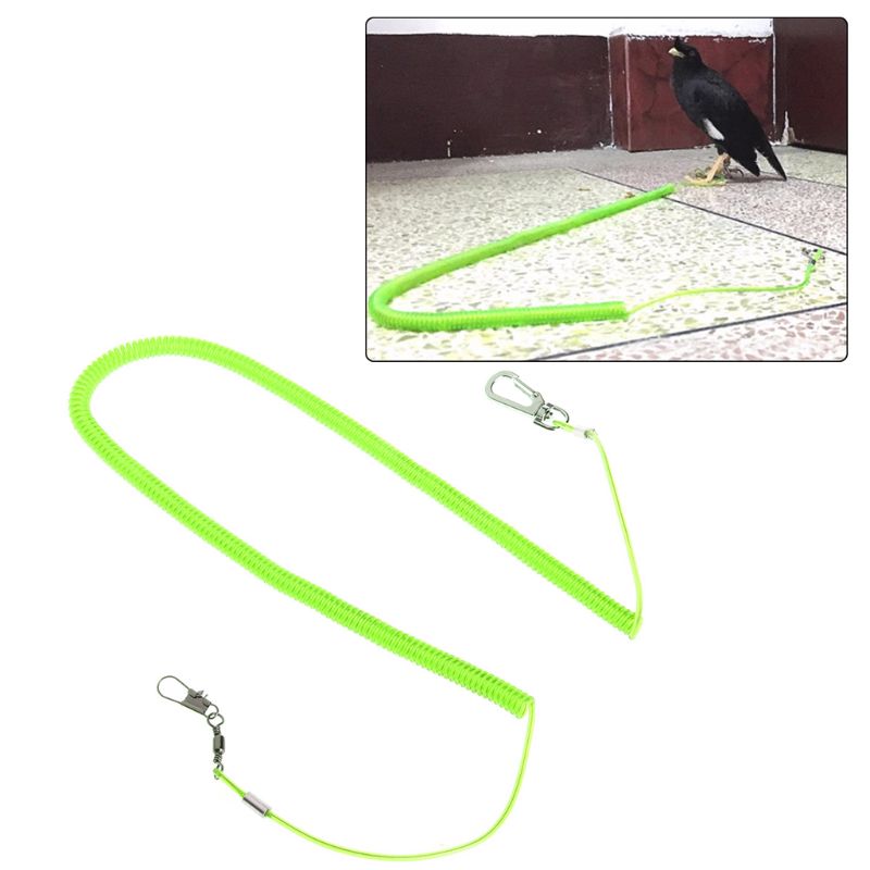 Papegaai Spreeuw Huisdier Vogel Leash Kits Anti-Bi... – Grandado