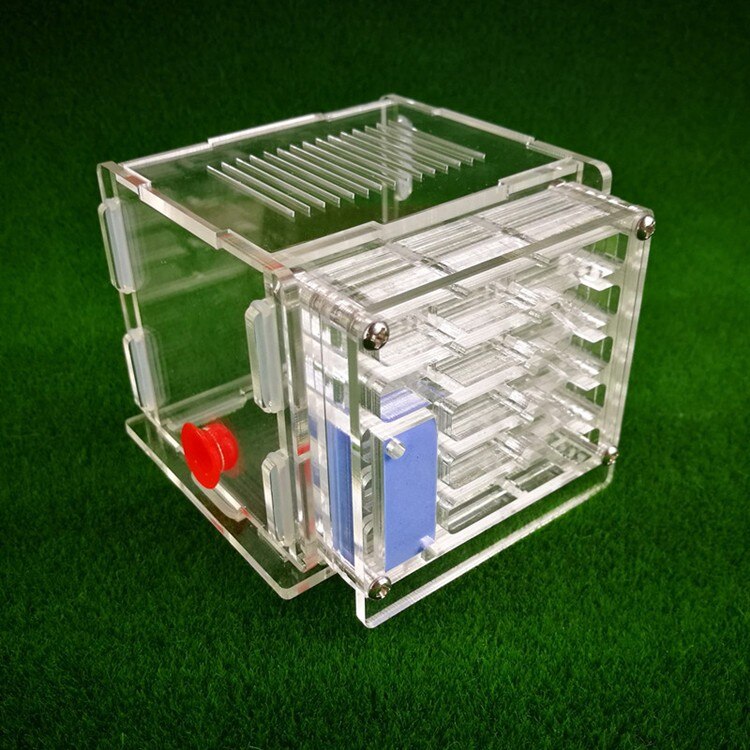 Ant Nest AX Insect Pet Cage Farm Nest With Feeding... – Grandado