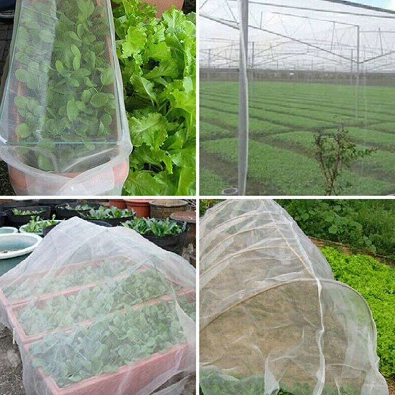 Crop Protection Net Vegetables Fruit Flowers Plant... – Grandado