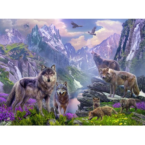 Pictures Picture By Numbers Abstraction Wolf DIY O... – Grandado