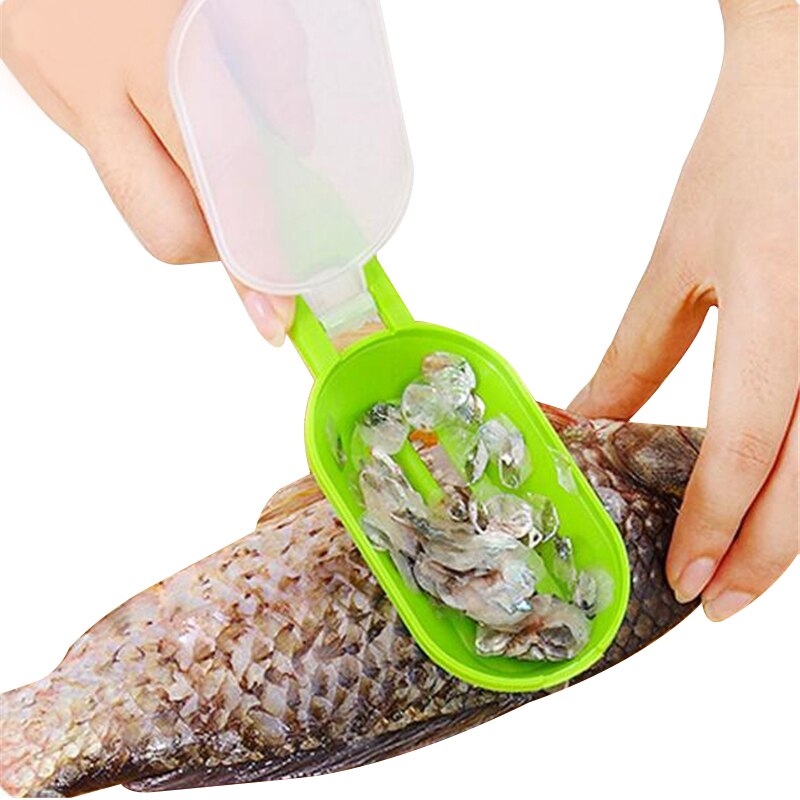 1 Pc Multifunctional Fish Scale Cleaner Plastic Ki... – Grandado