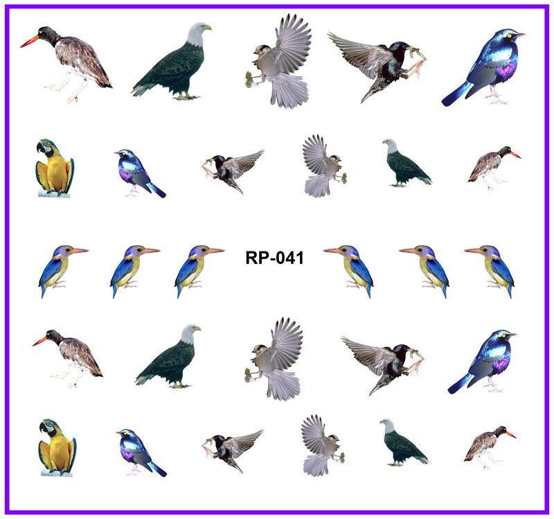 NAIL BEAUTY WATER DECAL SLIDER NAIL STICKER VOGEL ... – Vicedeal