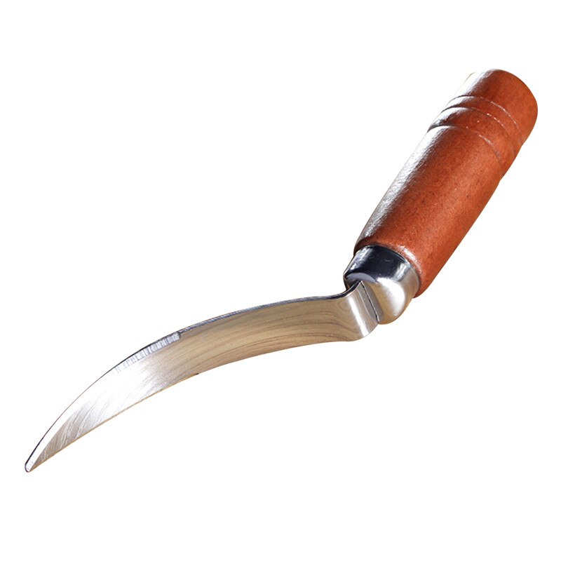 Stainless Steel Multifunctional Coconut Shell Open... – Grandado