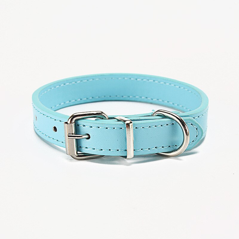 Simple Solid Color Small and Mmedium-Sized Dogs Do... – Grandado