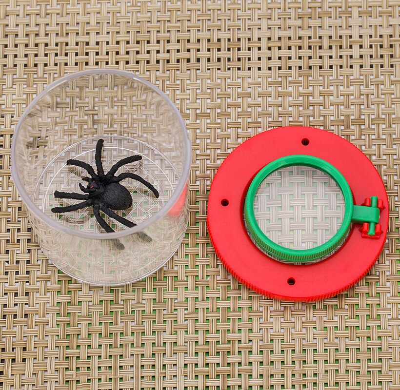 Insect Box Zoom Insect Viewer 3x-6x Magnifier Chil... – Grandado