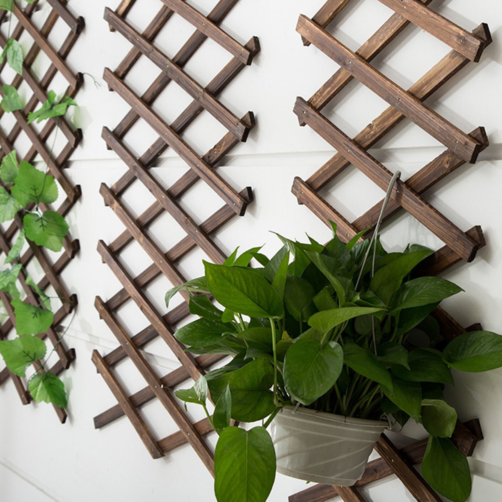 Retractable Garden Planter Climbing Grid Fence Fol... – Grandado