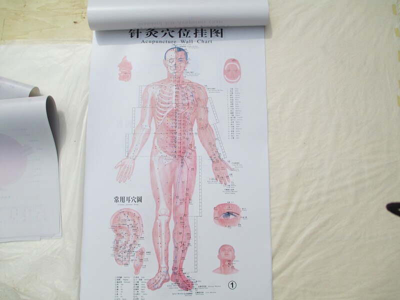 7pcs 50*80cm Acupuncture wall chart 3 male map 3 f... – Vicedeal