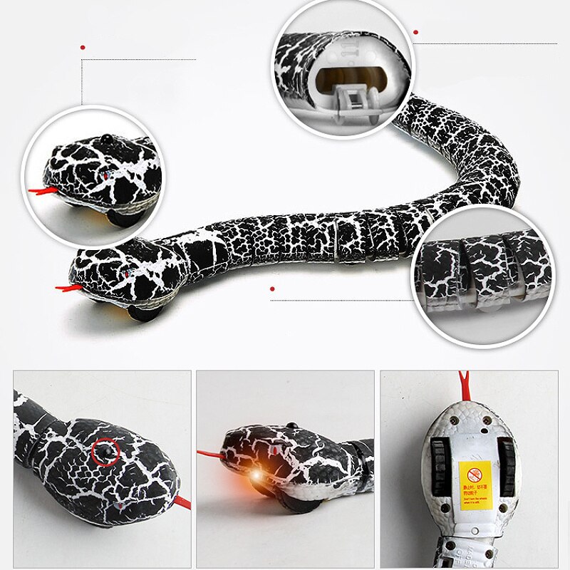 Remote Control Snake RC Snake Viper Cat Toy Egg Ra... – Grandado