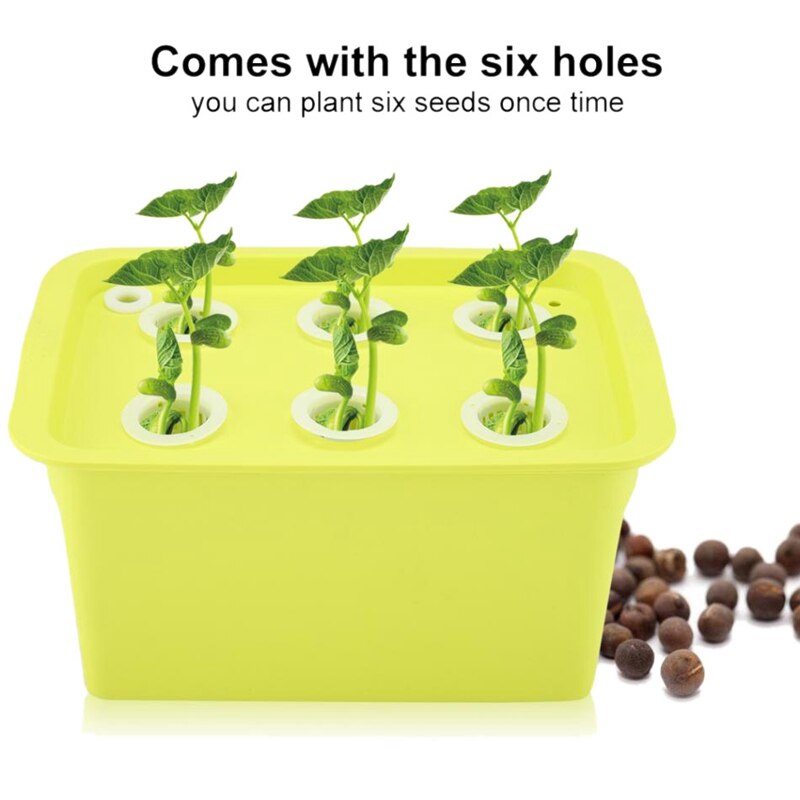 -6 Holes Hydroponic System Grow Plant Flower Deep ... – Grandado