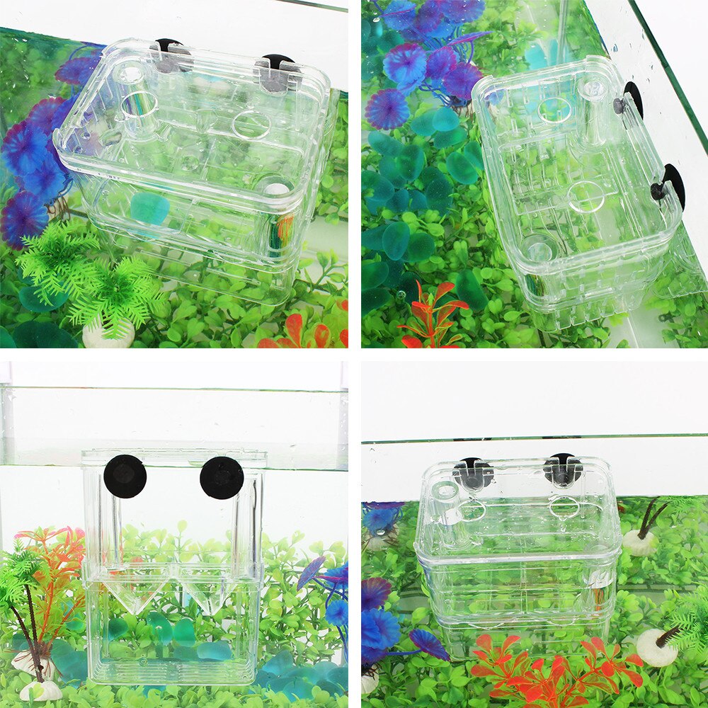 1PCS Multifunctional Transparent Small Fish Tank S... – Grandado