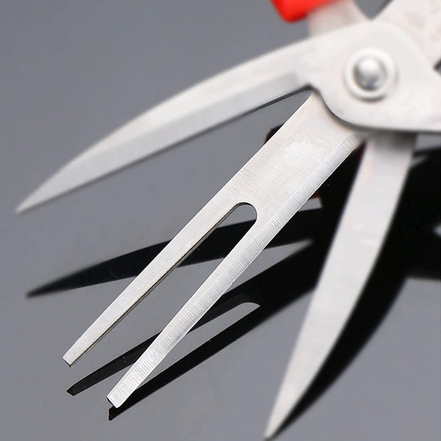 Double-port Agriculture Thinning Scissors Fruit An... – Grandado