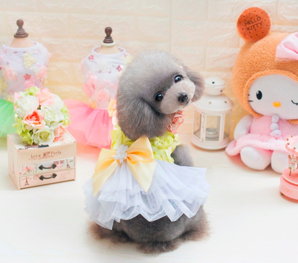 Spring Summer Butterfly Decoration Pet Dogs Cool D... – Vicedeal