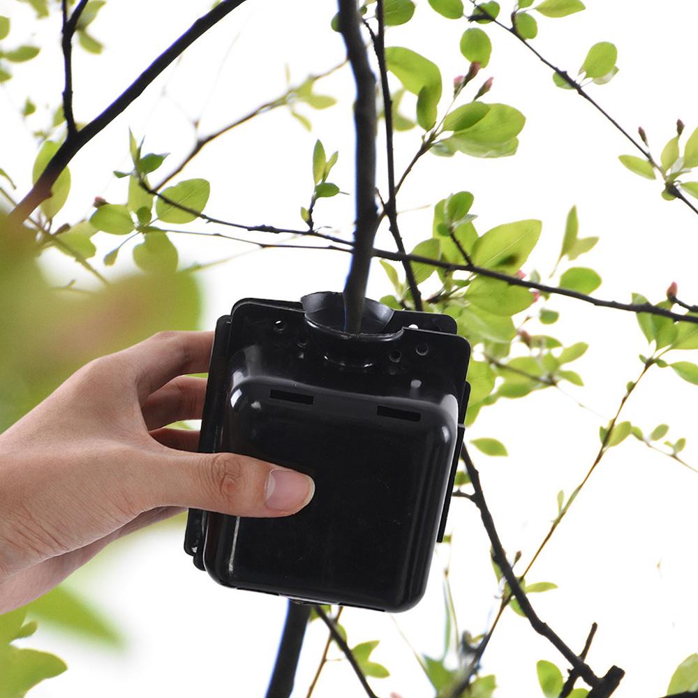 Plant Rooter Useful Plant Rooting Grow Box - Reusa... – Vicedeal