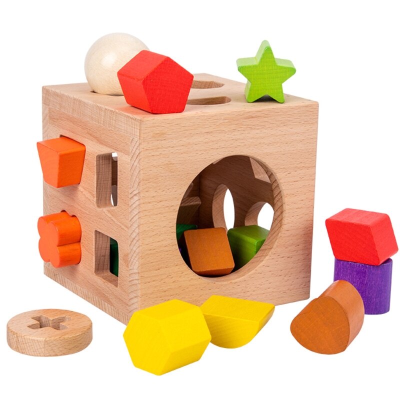 17 Holes Wooden Shape Matching Sorter Cognitive Ea... – Grandado
