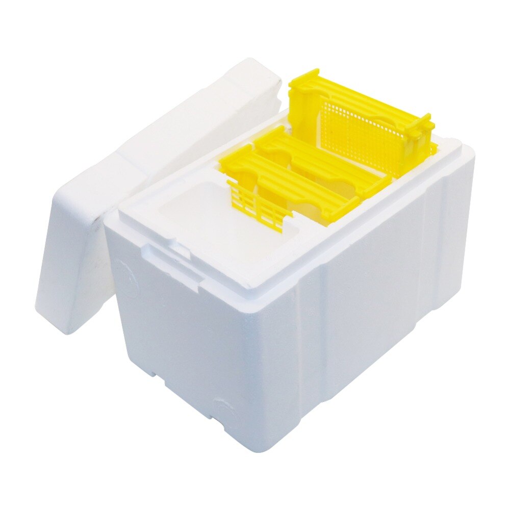 1 Pcs Home Hive Box Harvest Bee Hive Beekeeping Ki... – Grandado