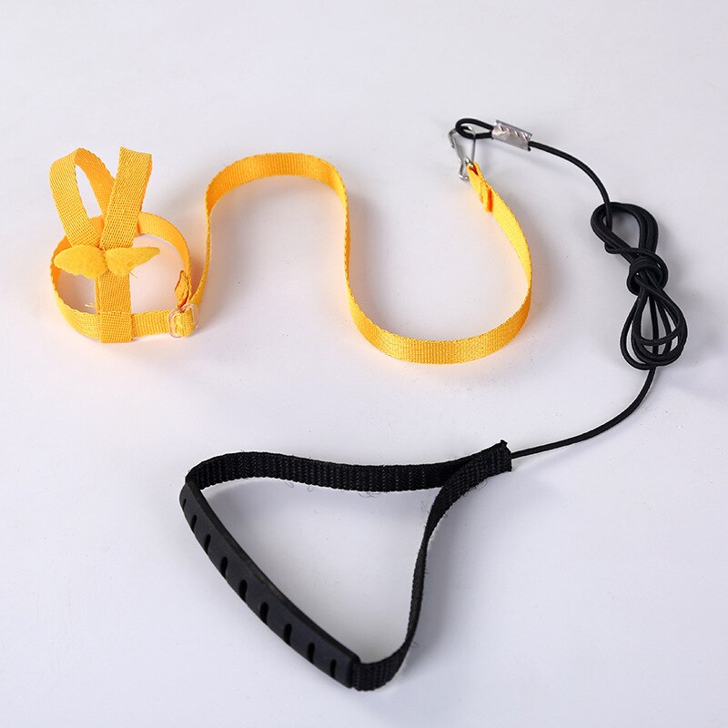 Anti-bite Flying Training Rope Parrot Bird Pet Lea... – Vicedeal