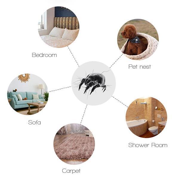 3pcs/lot Anti Mites Pads Cushion Bed Bug Protector... – Grandado