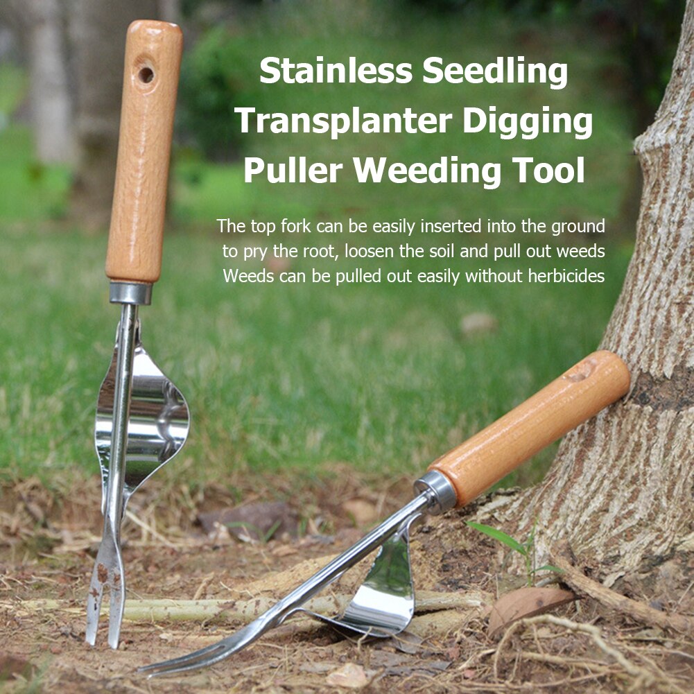 Wood Handle Stainless Steel Garden Weeder Hand Wee... – Grandado