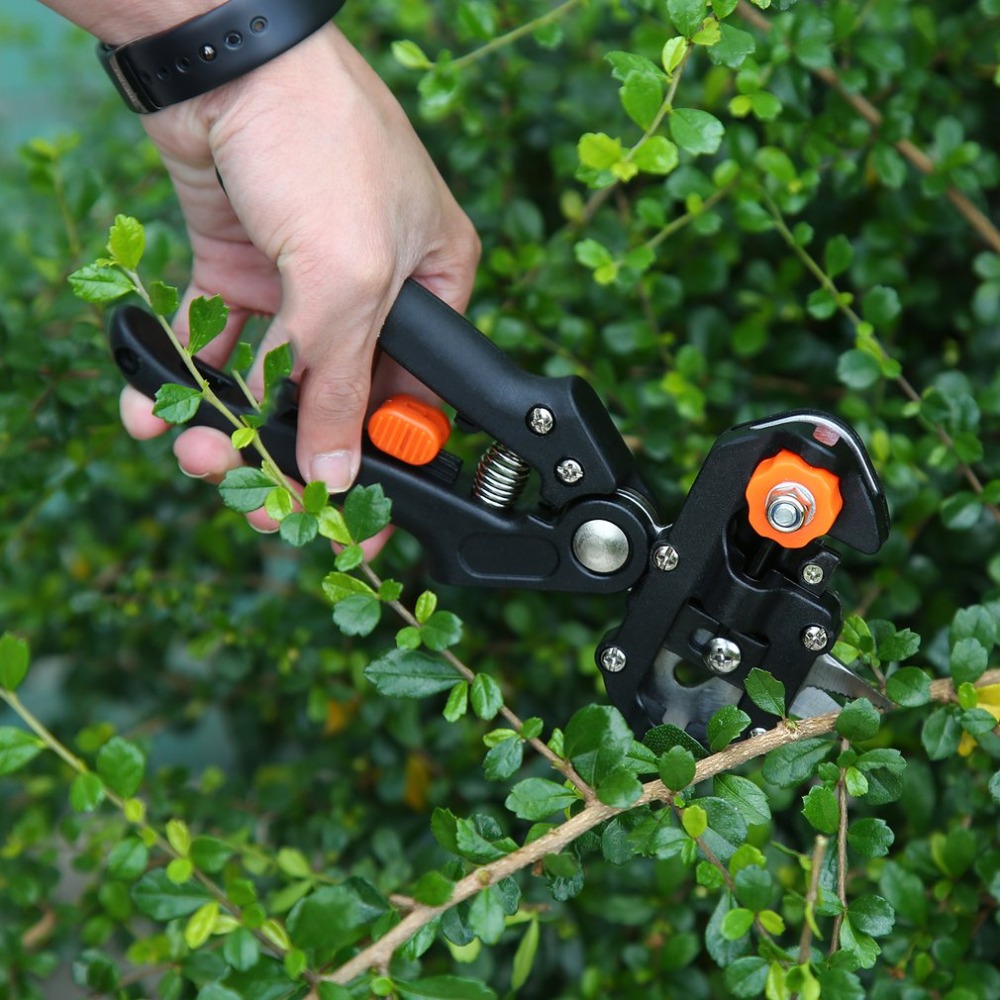 Garden Fruit Tree Pro Pruning Shears Scissor Graft... – Grandado