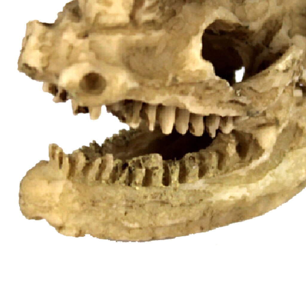 Reptile Terrarium Vivarium Ornament Decor Snake Hi... – Vicedeal