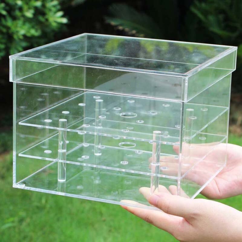 HUNYOO Clear Rose Storage Box Flower Box Water Jet... – Vicedeal
