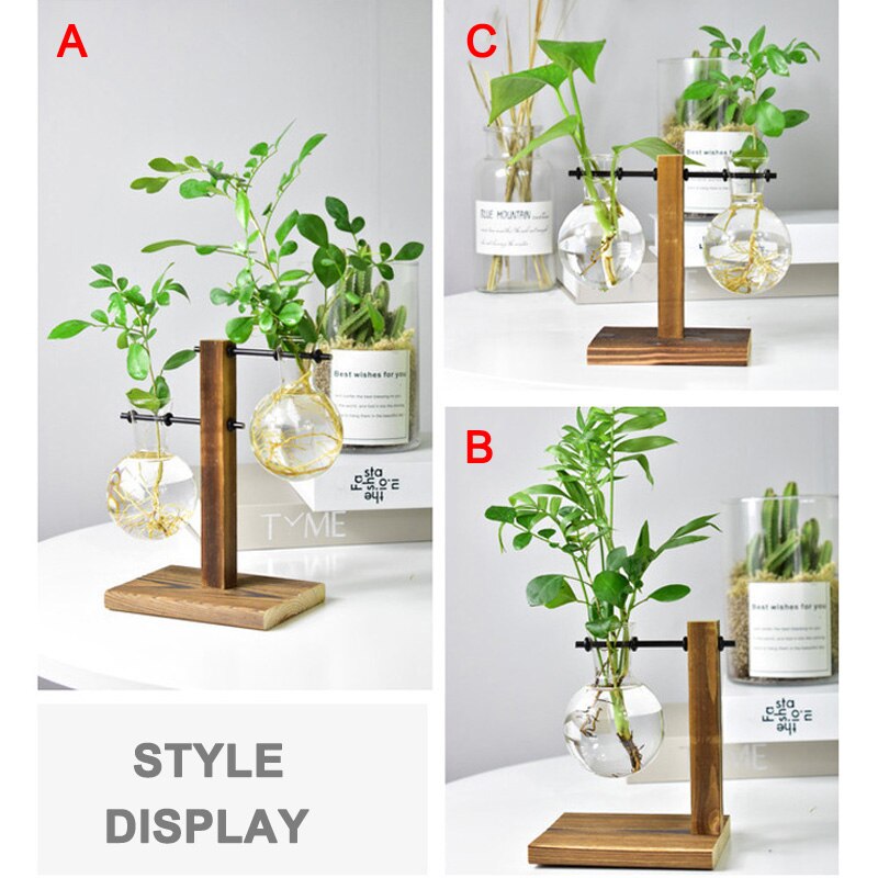 Table Desk Bulb Glass Hydroponic Vase Flower Plant... – Grandado