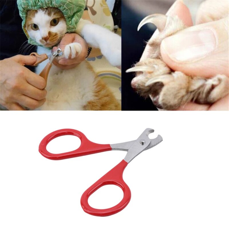 Pet Dog Puppy Nail Clippers Toe Claw Scissors Trim... – Grandado