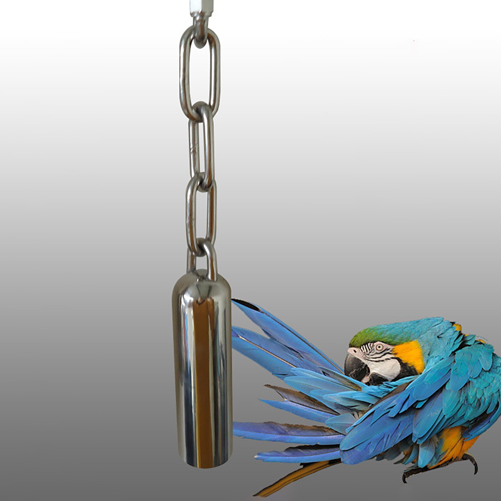 Pet Bird Toys Stainless Steel Hanging Bell Parrot ... – Grandado