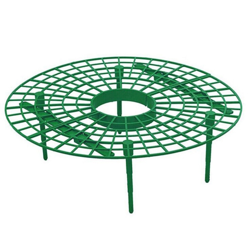 Strawberry Supports Plant Growing Supports Plant C... – Grandado