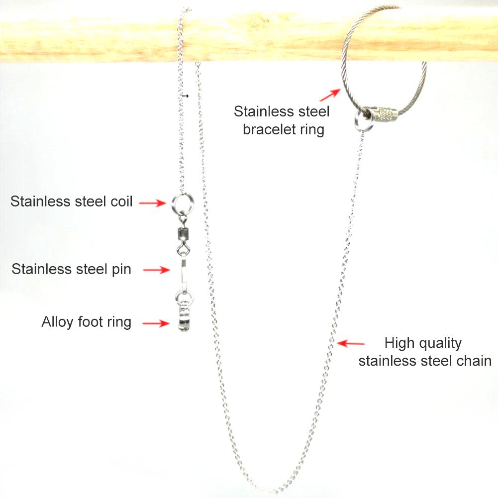 1 Pcs Pet Parrot Leg Ring Ankle Foot Chain Bird Ri... – Vicedeal