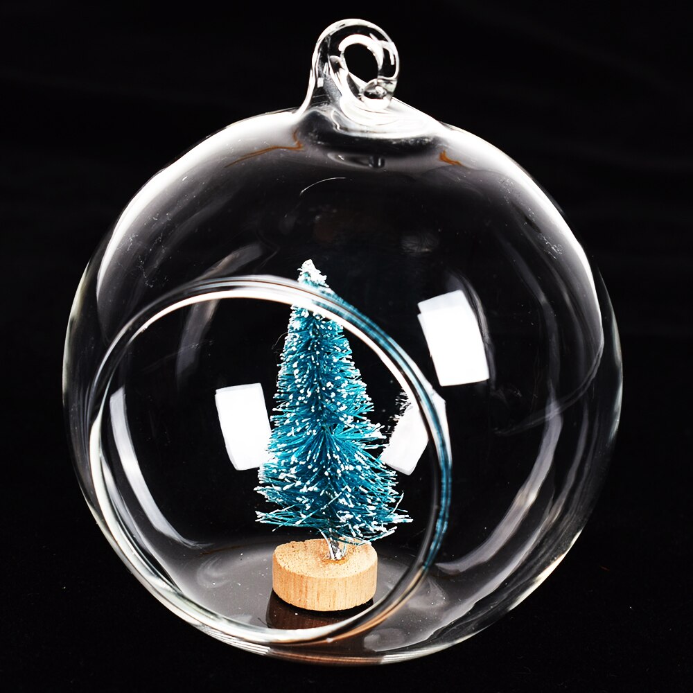 1Pcs Clear Glass Ball Globe Shape Terrarium Ball F... – Grandado