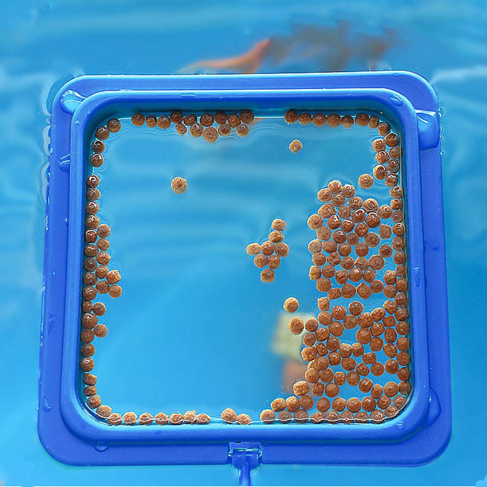 Aquarium Floating Food Feeder Square Suitable Feed... – Grandado