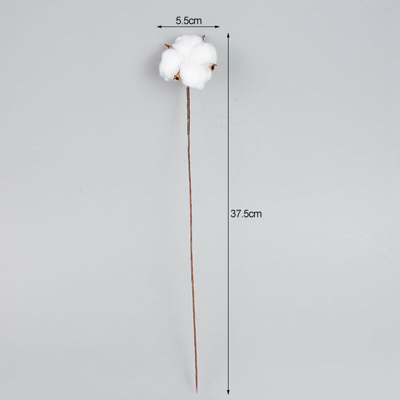 Naturally Dried Cotton Flower White Cotton Florist... – Grandado